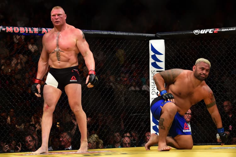 Top 10 Super Heavyweight MMA Fighters