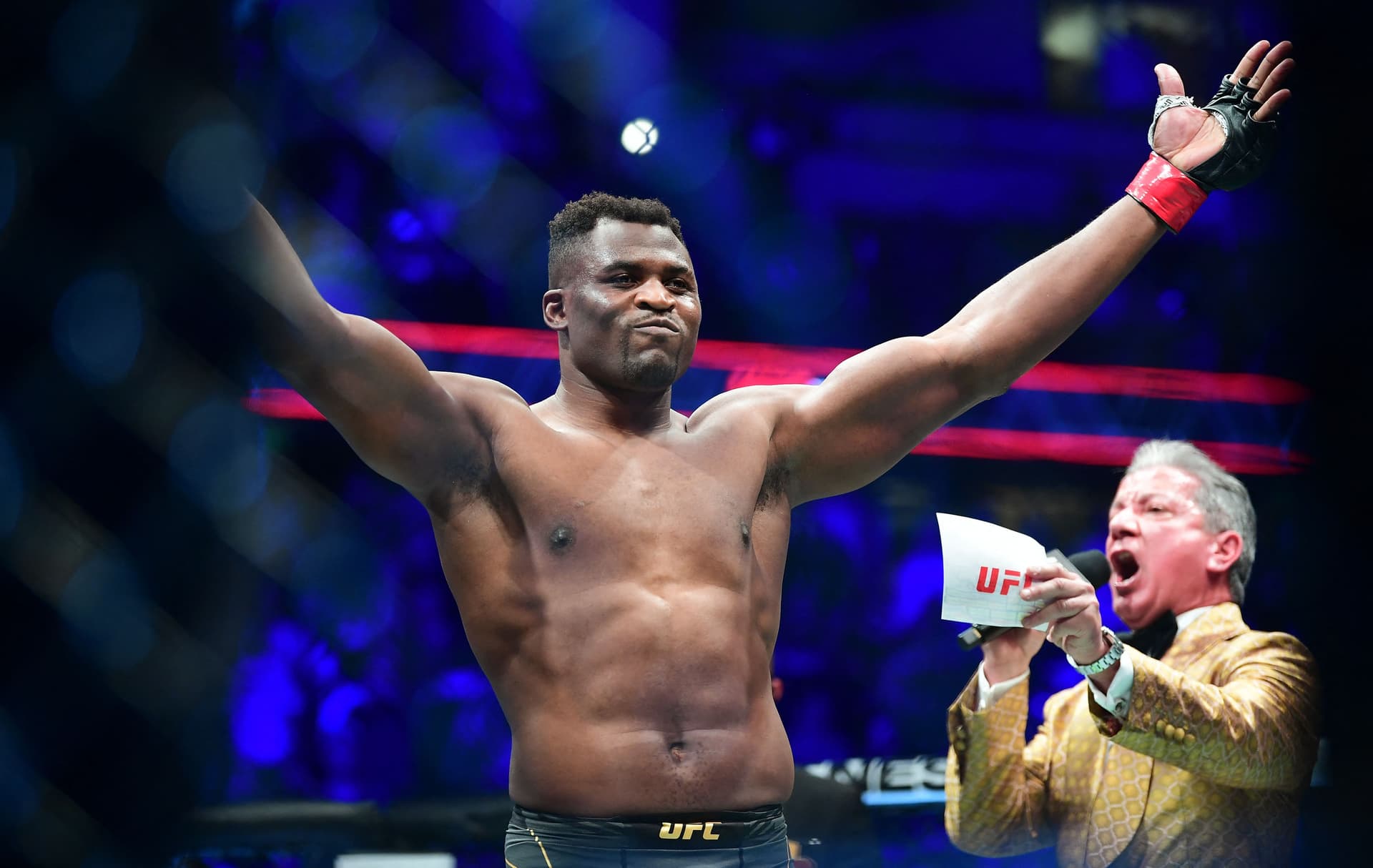 The 10 Best Heavyweight MMA Fighters
