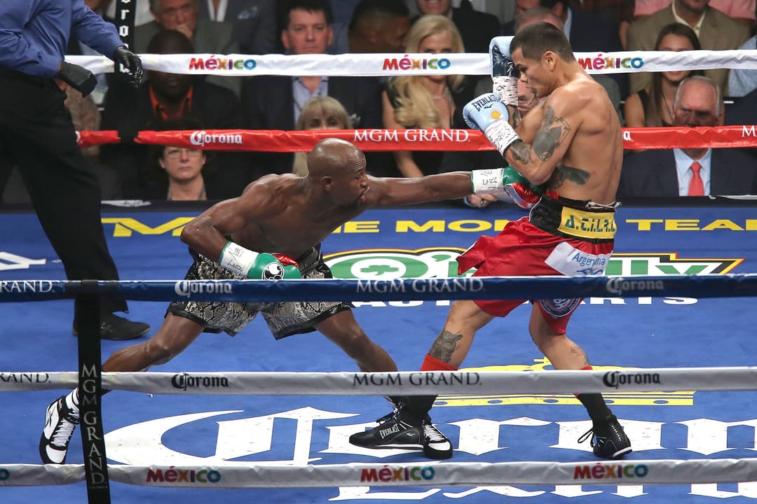 Understanding the Various Types of Boxers