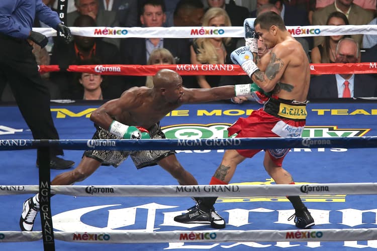 Understanding the Various Types of Boxers