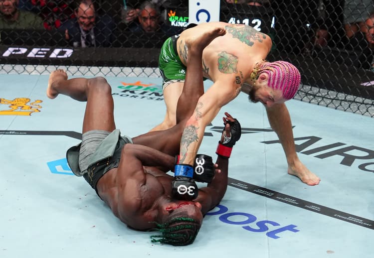 What Is the Bantamweight Division in the UFC?