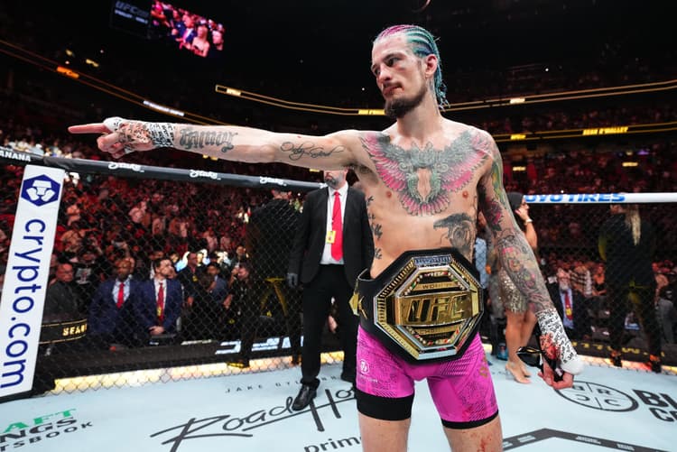 What Is the Bantamweight Division in the UFC?