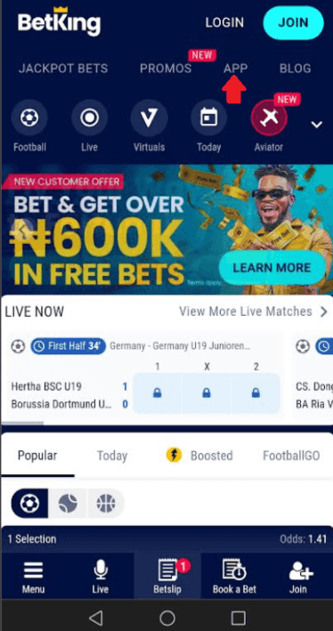 BetKing Mobile App - Complete Download Guide & Review 2025