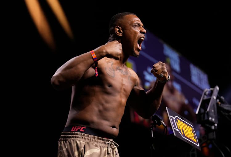 The Ultimate Guide to the UFC Light-Heavyweight Division