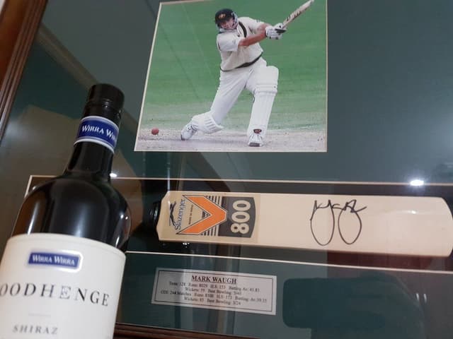 Best Cover Drive Players in Cricket History (Updated 2024)