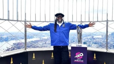 What is the Highest Score in T20 History?