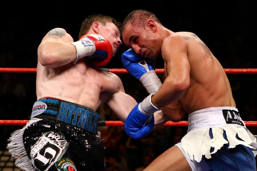 Understanding the Various Types of Boxers