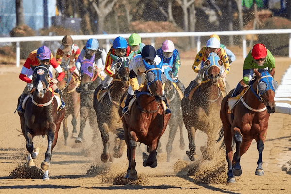 Superfecta Betting Explained