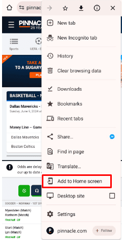 Pinnacle Mobile App Complete Review (2025)