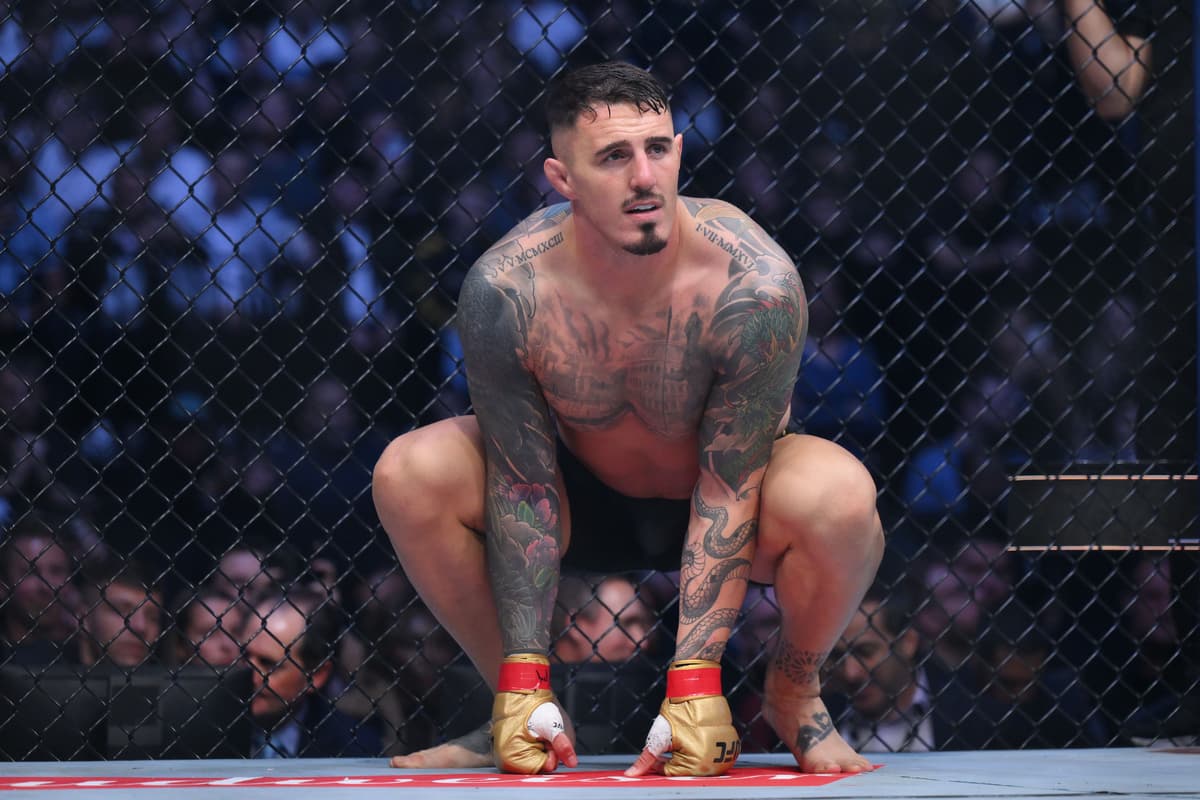 Best Heavyweight MMA Fighters: Top 10 Heavyweights Ranked by Record and ...